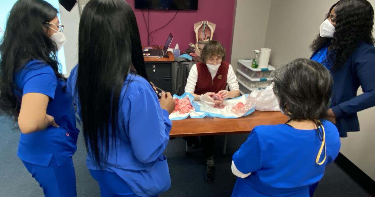 The Curriculum | Caroline Center